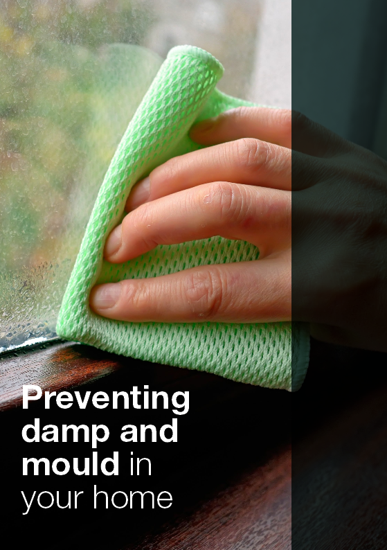 STRATFORD DISTRICT COUNCIL ADVICE ON DAMP & MOULD INGRESS IN YOUR HOME ...